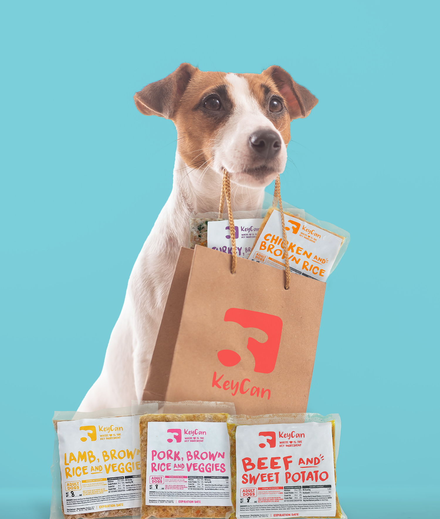 KeyCan Dog Food - Homemade and Healthy Recipes - Vet Approved