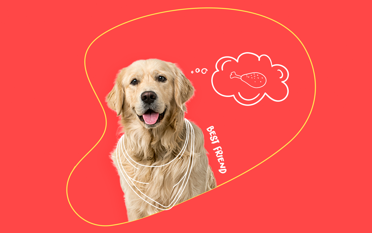 KeyCan Dog Food - Homemade and Healthy Recipes - Vet Approved